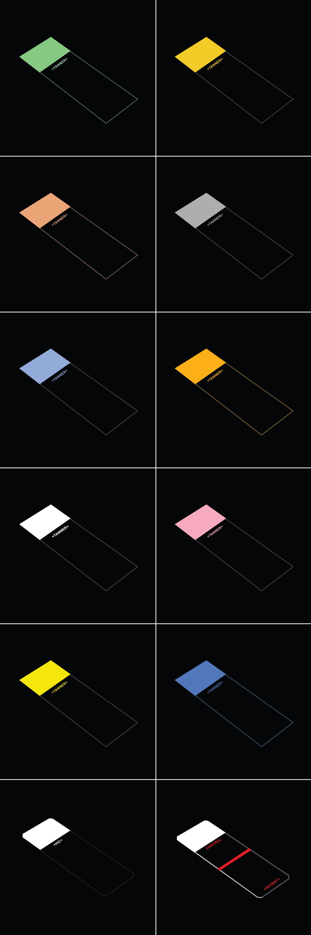 Tanner Scientific Adhesive Microscope Slides